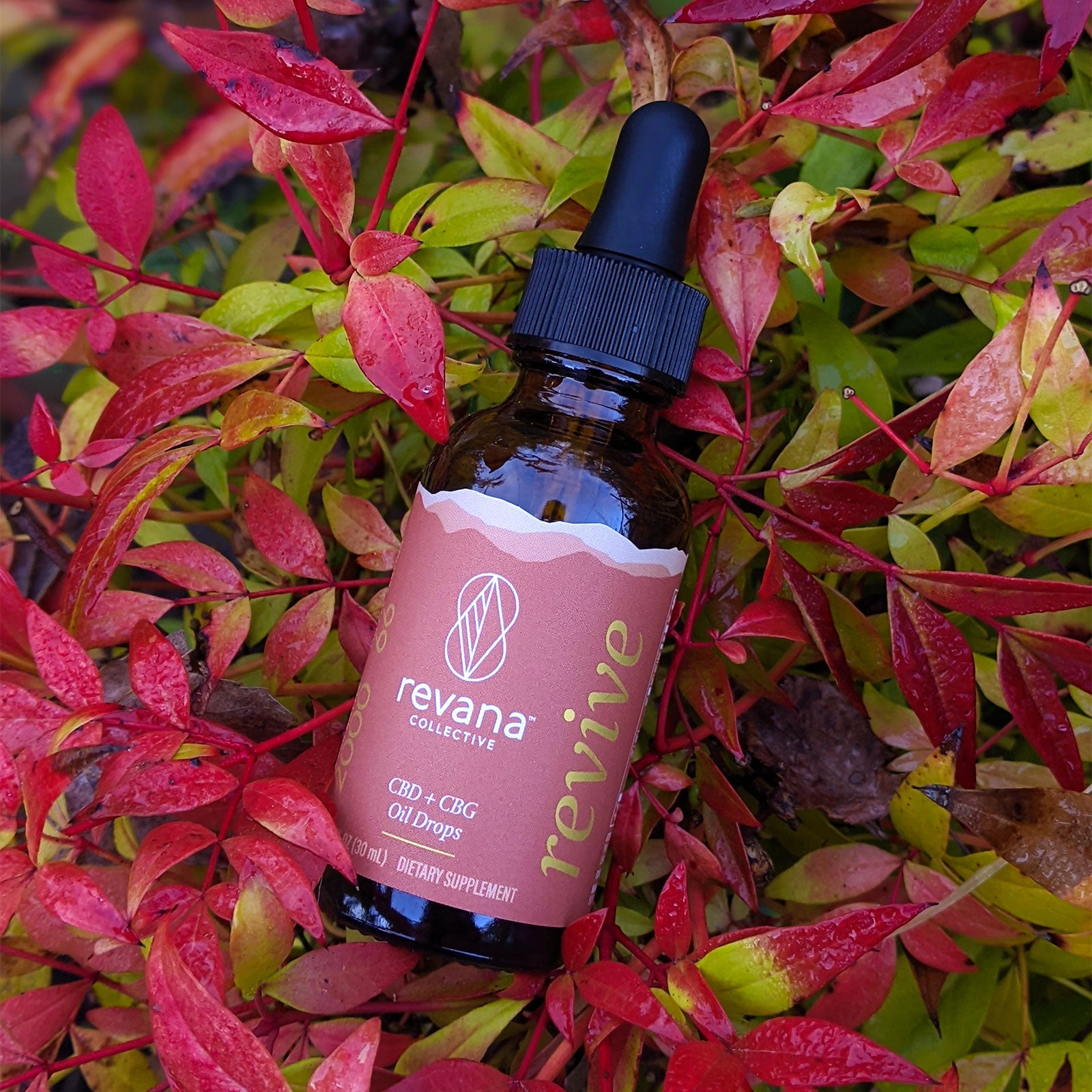 Revive Drops | Inflammation – Revana Collective