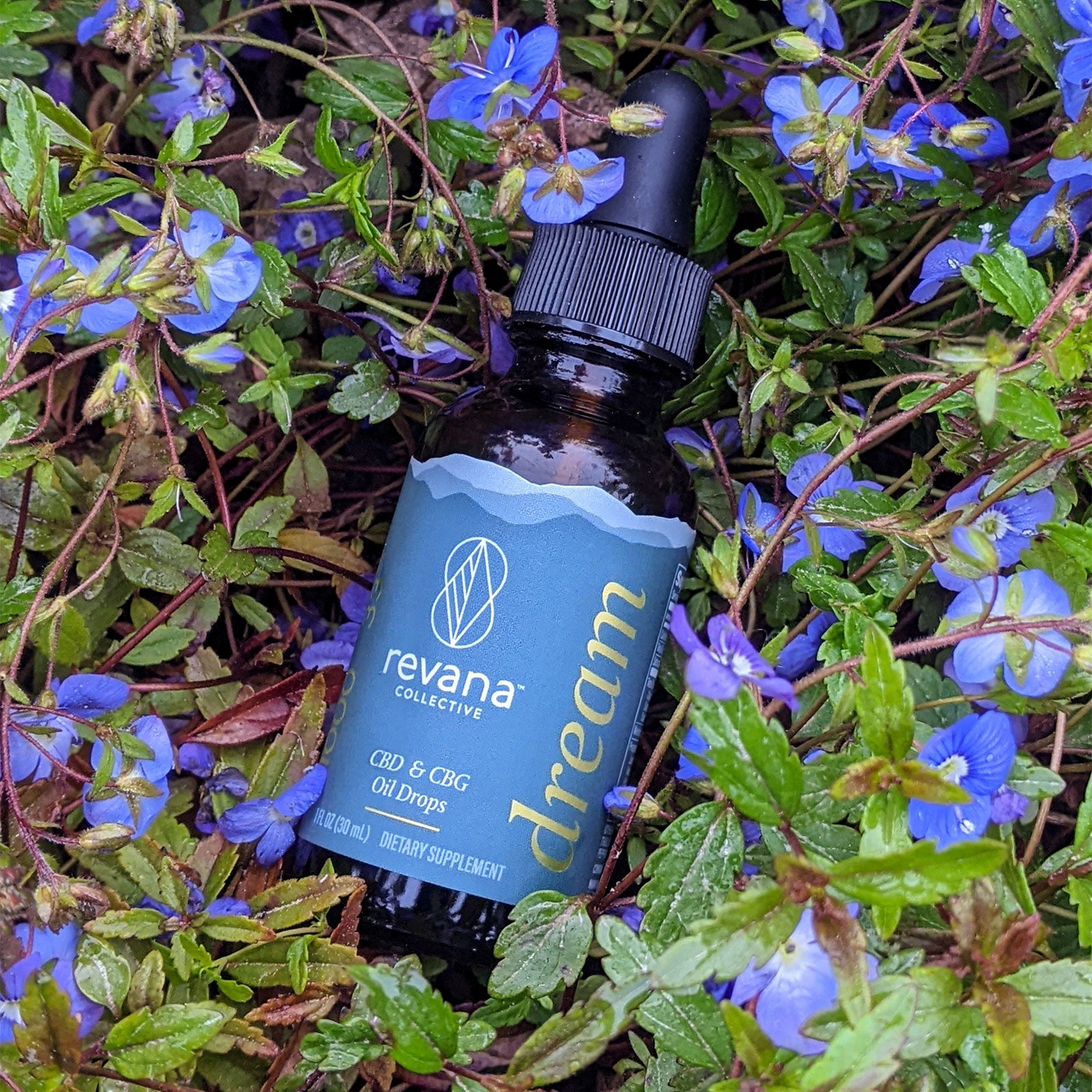 Dream Drops | Relaxation & Sleep – Revana Collective